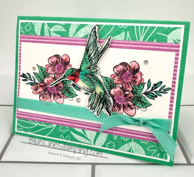 Sweet Hummingbird - Blue Line Stamping